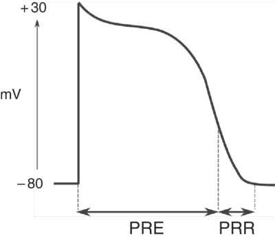 Chapitre 6 - Électrophysiologie - SFCARDIO