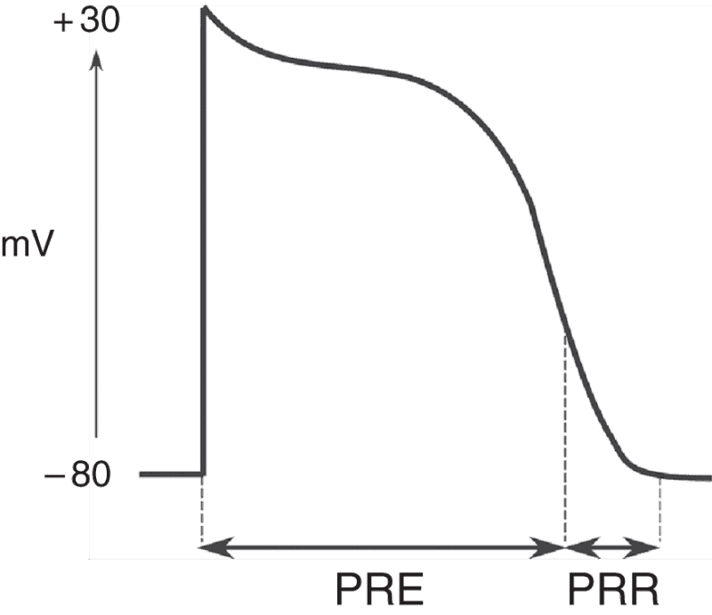 Chapitre 6 - Électrophysiologie - SFCARDIO